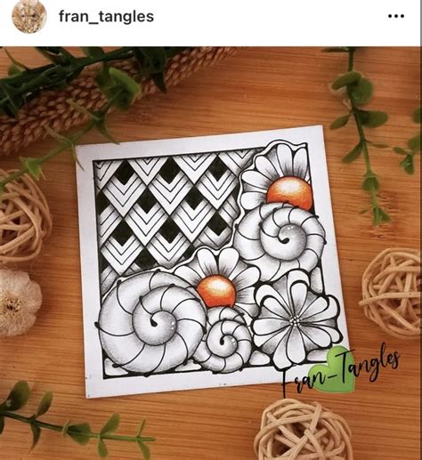 Zen Doodle Art With Flowers And Pine Cones