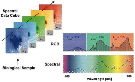 snapshot multispectral imaging using a diffractive optical 41 off