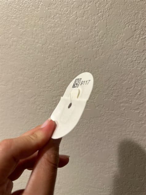 Viewing Or Downloading Data Rdexcom