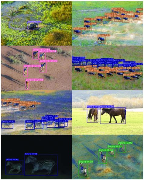 Grassland animal test results. | Download Scientific Diagram