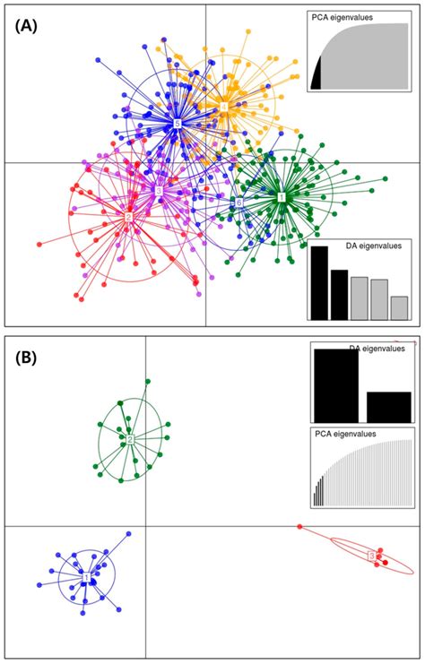 discriminant analysis of principal components dapc for 482 potato
