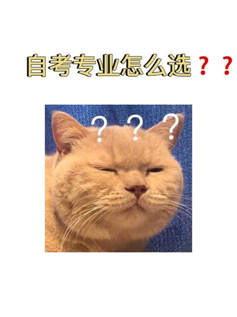 别再被误导了！自考选专业应该看这里！ 知乎