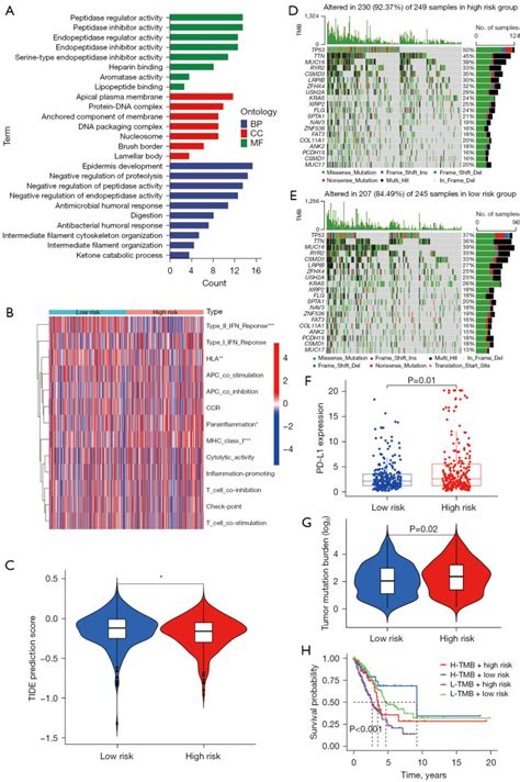 Necroptosis Related Lncrnas Biomarkers For Predicting Prognosis And Immune Response In Lung