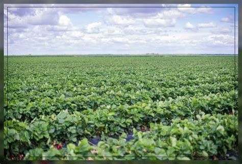 Soil Conservation Threats Benefits And Methods AAAK