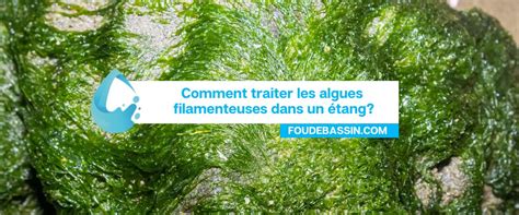 Comment Traiter Les Algues Filamenteuses Dans Un étang — Foudebassincom