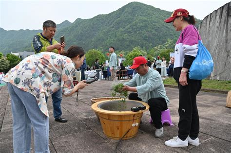 第二十届安徽石台茶文化节安徽省春茶地理标志保护专项行动池州暨第二届富硒产业发展大会启动 中安新闻 中安新闻客户端 中安在线
