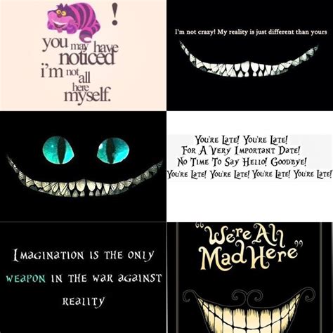 21 Best Images About Cheshire Cat On Pinterest Wall Decor Stickers