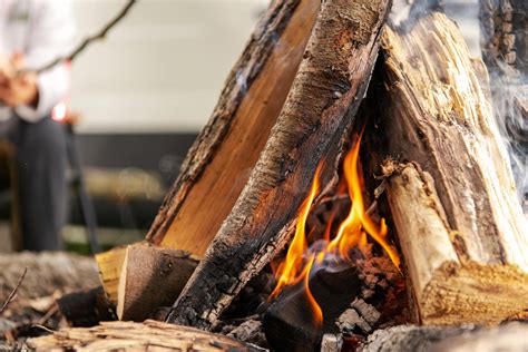 Wo und wie findet man das beste Brennholz für den Kamin