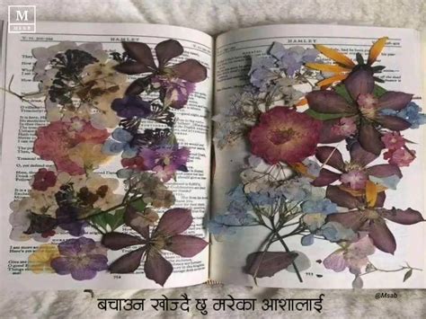 John Chamling Rai Untitled By Music Soul And Bands