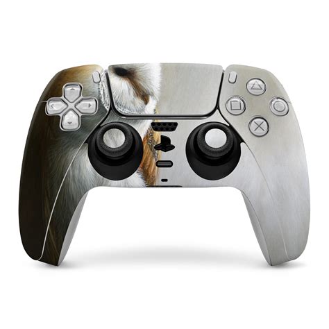 Barn Owl Sony Ps5 Controller Skin