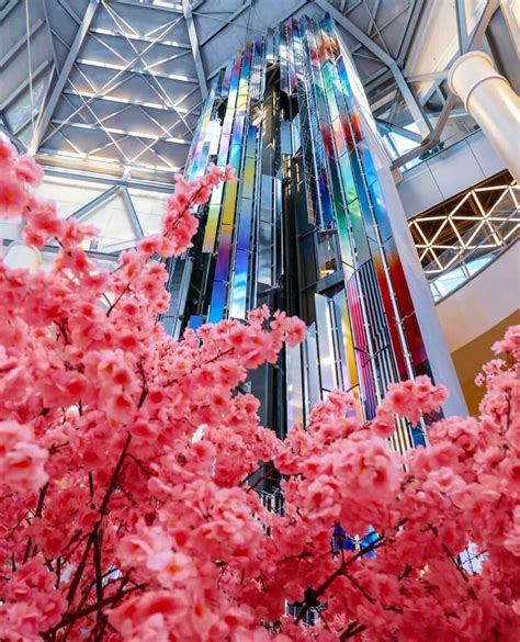 Атриум Стрит арт галерея мировых художников в центре Москвы