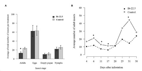 Development Of The Whitefly Population During The Cycle Of The
