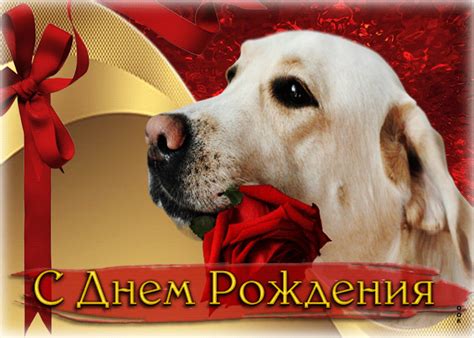 Стильная открытка с собакой С днем Рождения Скачать бесплатно на