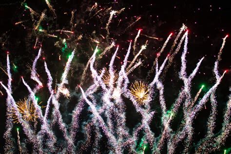 Comment protéger vos animaux des feux d artifices dont les conséquences peuvent être