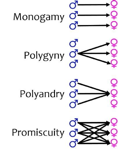 65 Mating Systems Biology Libretexts