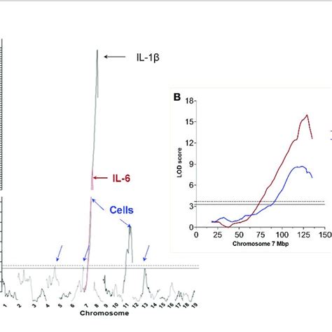 Genome Wide Genetic Linkage Analysis Of Loci Affecting Inflammatory