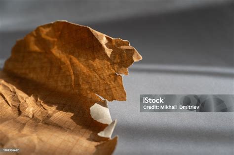밀리미터 또는 크기 조정 드로잉 용지가 사각형으로 표시됩니다 회색 배경에 갈색 구겨진 종이 조각 0명에 대한 스톡 사진 및 기타 이미지 Istock