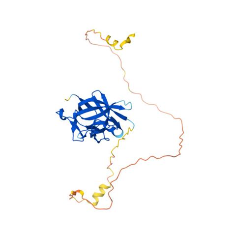RCSB PDB AF AFP01583F1 Computed Structure Model Of Interleukin 1 Alpha