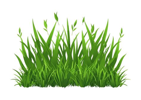 Premium Vector Cartoon Grass Vector Illustration With A White Background