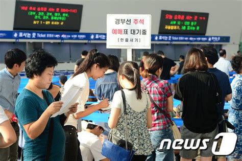 추석 기차표 예매 현장 네이트 뉴스