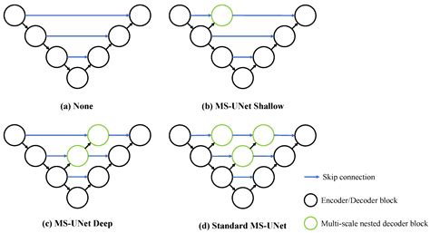 Ms Unet Multi Scale Nested Unet For Medical Image Segmentation With Few Training Data Based On