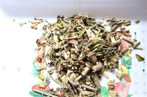 Barg E Bansa In Urdu And English Meaning And Details