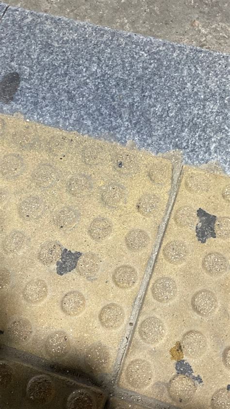 길 위에 있는 검정색 얼룩들 지식in