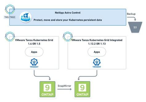 why netapp for vmware tanzu