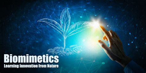 Biomimetic Design Nature Inspired Innovation In Mechatronics