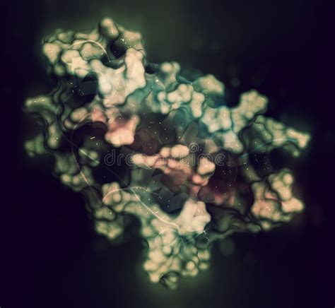 Erythropoietin Human Epo Epoetin Protein Hormone 3d Rendering
