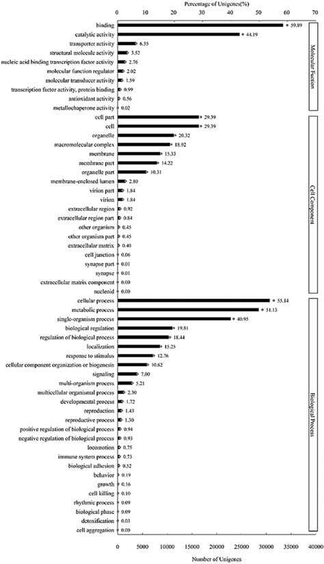 Go Classification Map The Ordinate Represents The Go Terms Of The