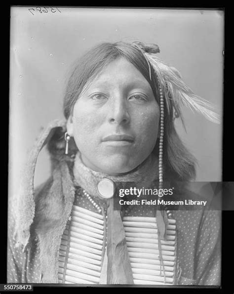 Oglala Sioux Tribal Photos And Premium High Res Pictures Getty Images