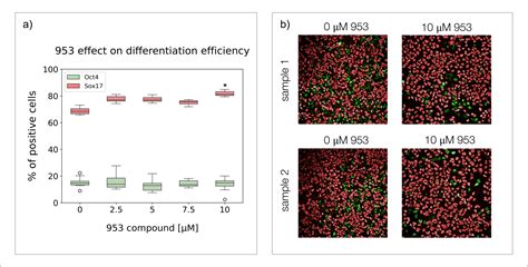 Understanding Signalling Pathways Involved In The Development Of