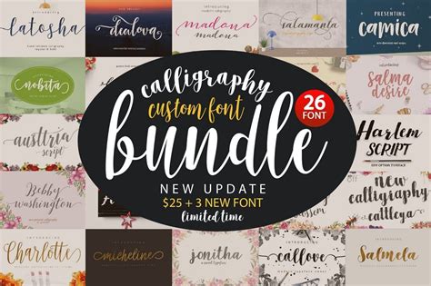 100 Beautiful Script Brush And Calligraphy Fonts
