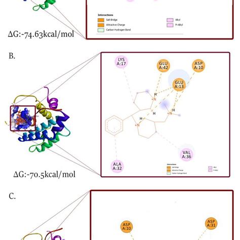 Molecular Docking Pose Visualization A 125480 B 38279 C 139068