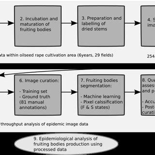 Figure S Graphical Examination Of The Post Processed Data Download Scientific Diagram