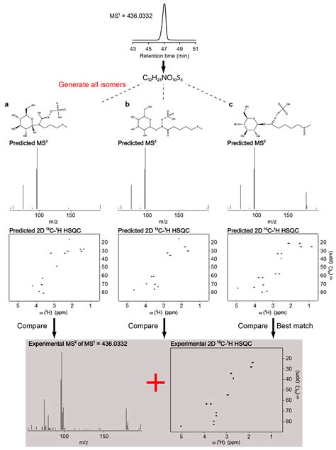 Structure Elucidation Of Unknown Metabolites In Metabolomics By Combined Nmr And Msms Prediction