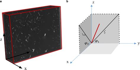 A The Relationship Between Three Dimensional Microstructure And The