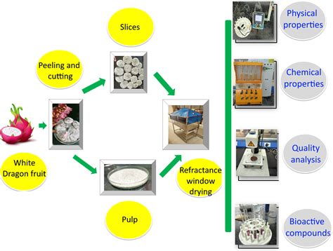 Impact Of Different Drying Methods On The Phenolic Composition In