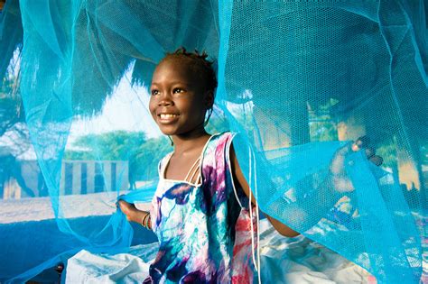 Insecticide Treated Bed Nets Key In Fight Against Malaria The Borgen Project
