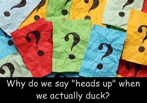 Weird Questions You Wish You Knew The Answers To EBaum S World