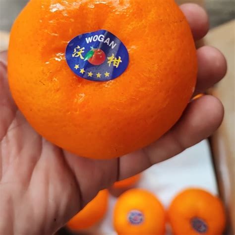 Jual Jeruk Honey Wokam Wogam Wogan Mandarin Orange 900 Gr 1 Kg Shopee Indonesia