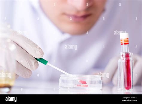 Blood Testing In The Lab Stock Photo Alamy