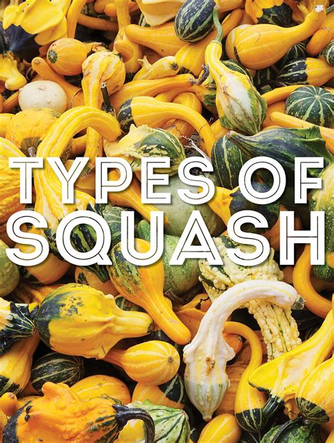 Types Of Squash Names