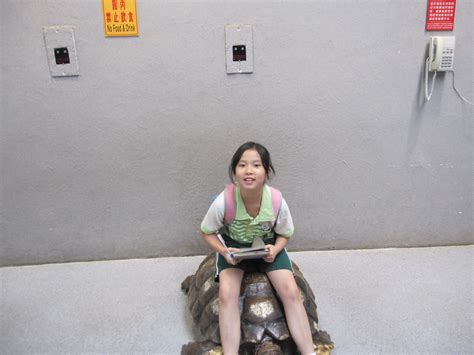 妹妹 Flickr