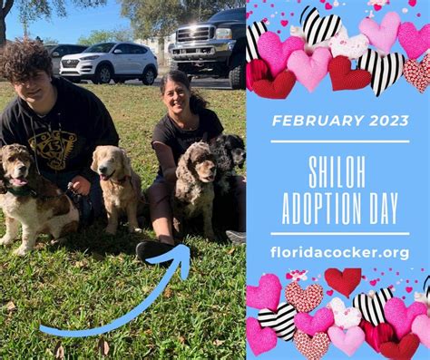 Adoption Florida Cocker Spaniel Rescue