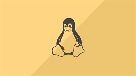 Linux Kodi Installieren So Geht Es COMPUTER BILD