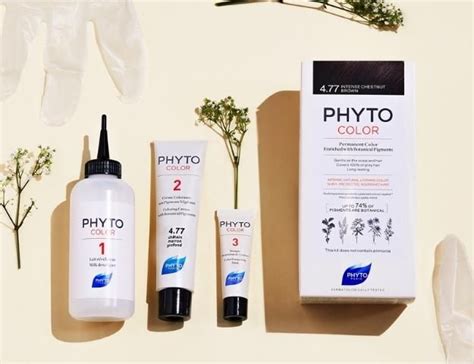 Phyto Official Website Haircare Routine And Hair Loss Treatments