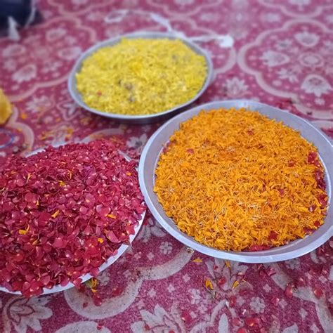 Deepthi Cherukuri D Cherukuri • Instagram Photos And Videos