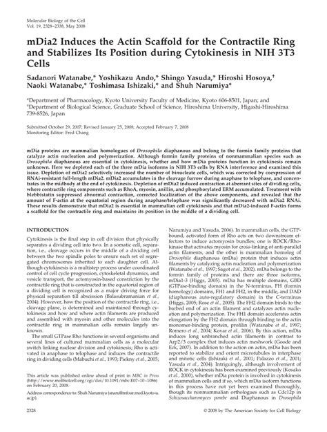 Pdf Mdia2 Induces The Actin Scaffold For The Contractile Ring And